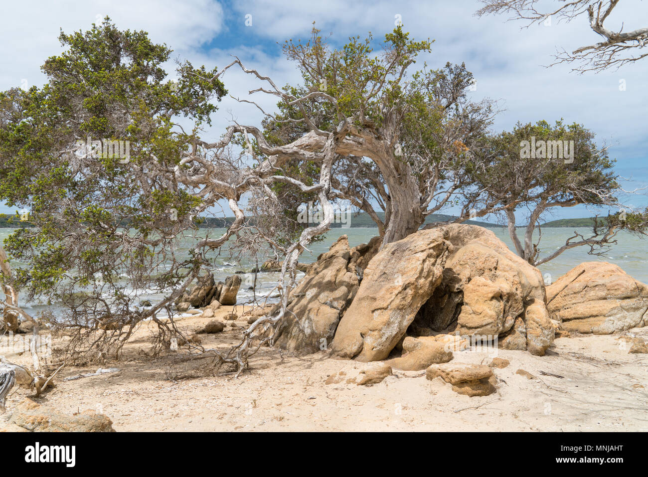 Lakeside landscape within the Stokes National Park, Western Australia ...