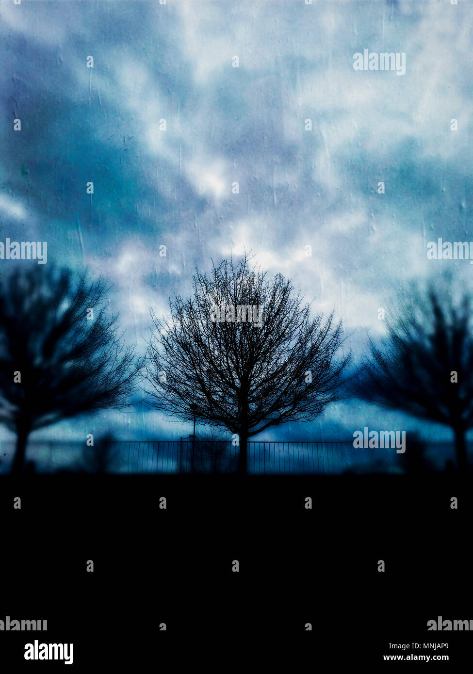 Sinister trees hi-res stock photography and images - Alamy