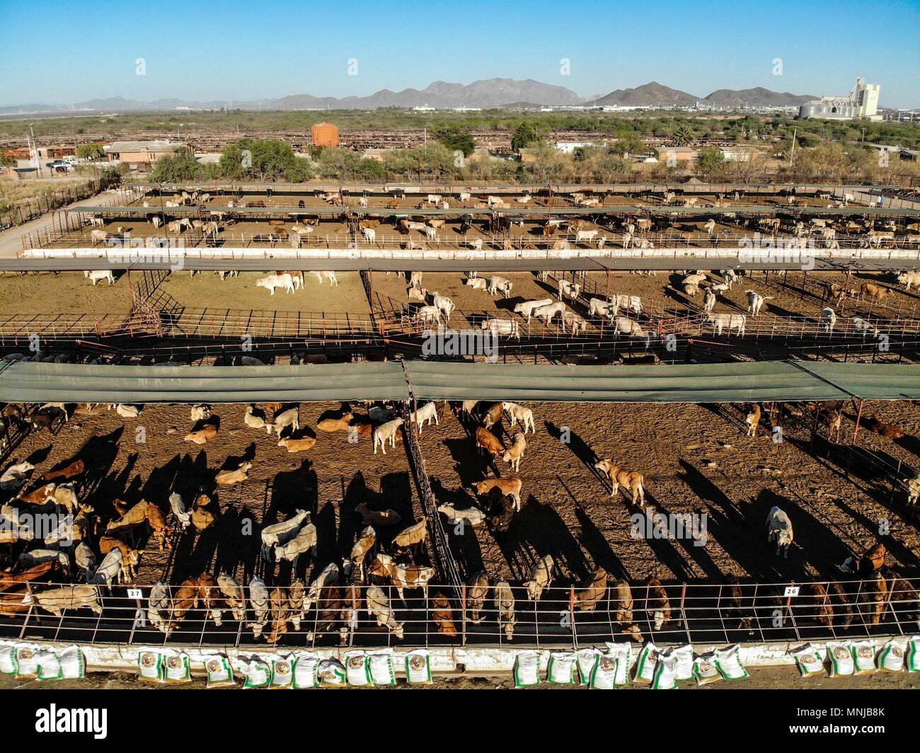 Aerial view of the Rodeo arena, rides and facilities and corrals of the ...