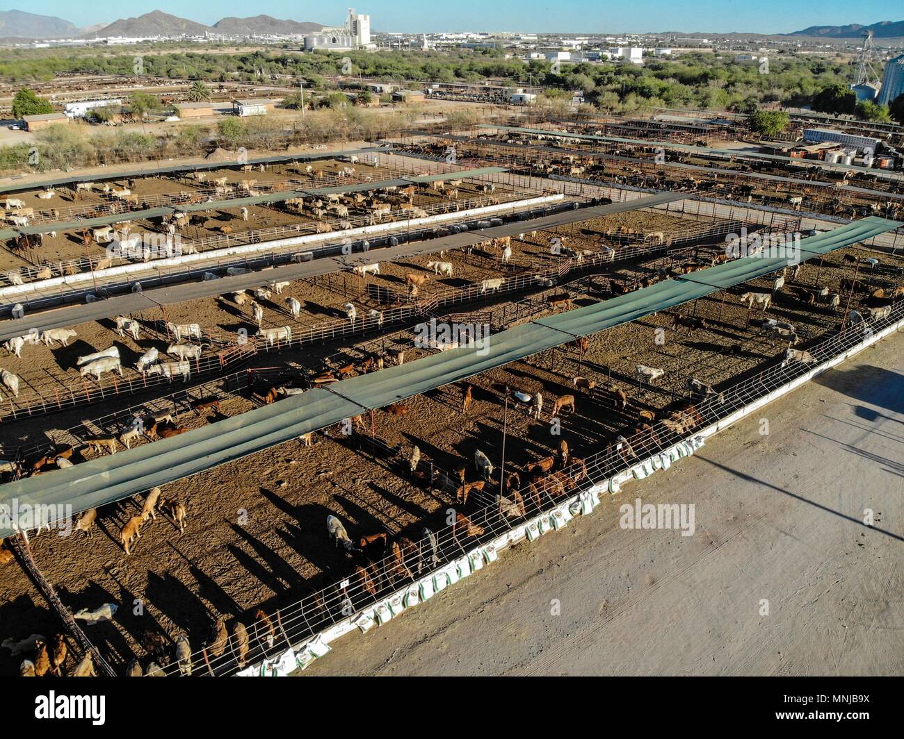 Aerial view of the Rodeo arena, rides and facilities and corrals of the ...