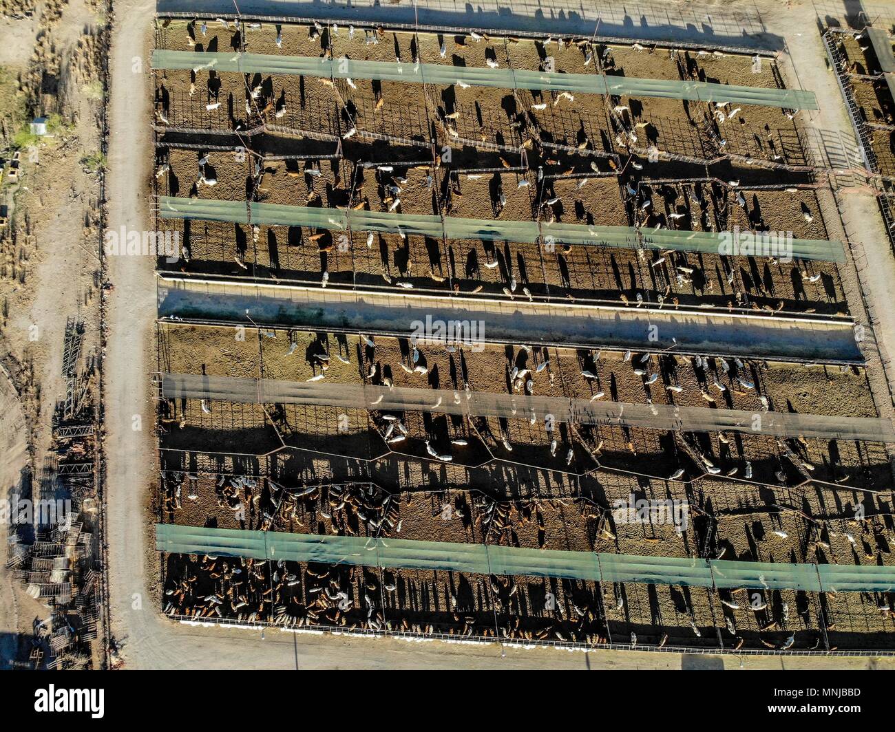Aerial view of the Rodeo arena, rides and facilities and corrals of the ...