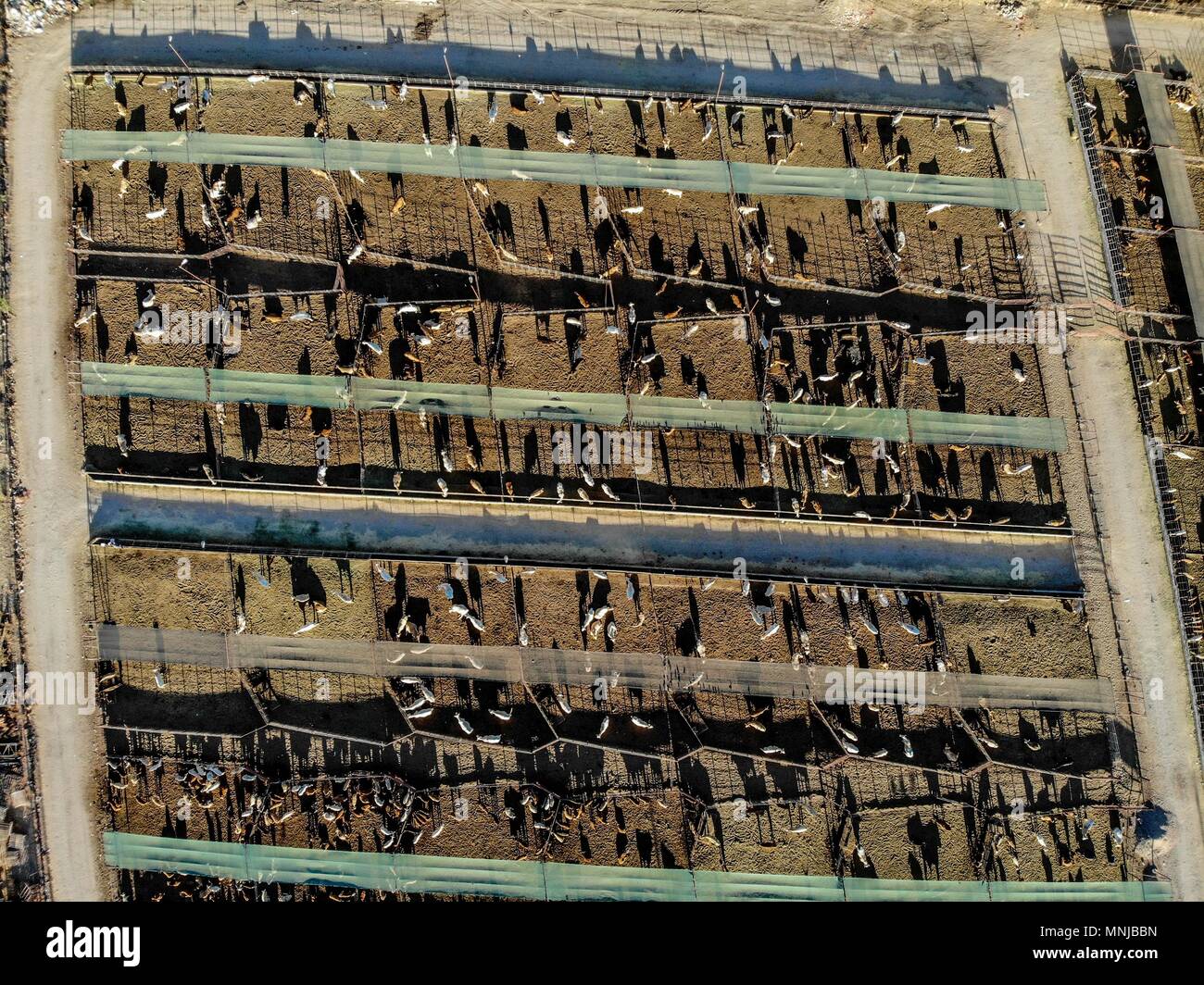 Aerial view of the Rodeo arena, rides and facilities and corrals of the ...