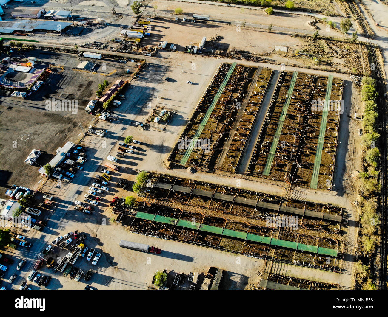 Aerial view of the Rodeo arena, rides and facilities and corrals of the ...