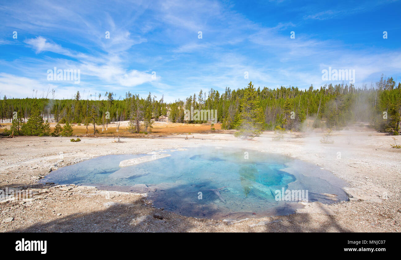 Colorful hot water pool in the Yellowstone National park, USA Stock ...