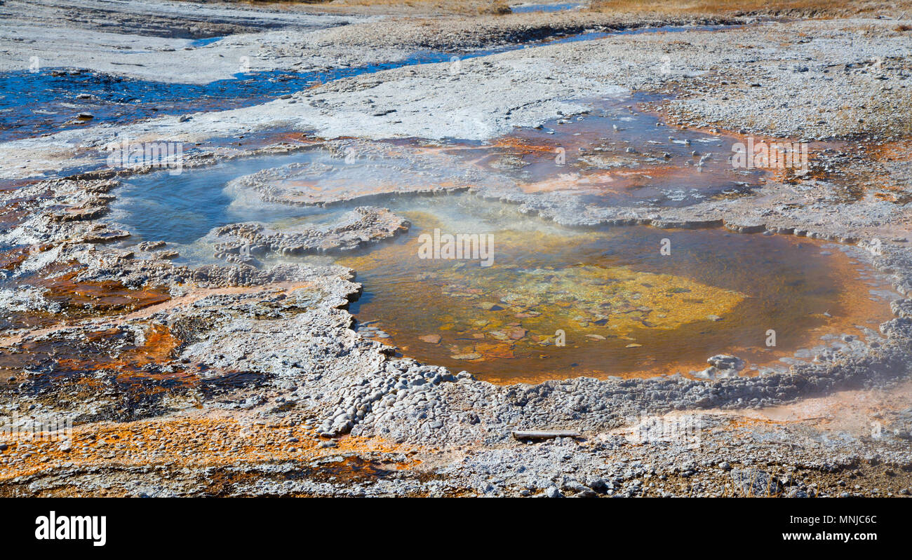 Colorful hot water pool in the Yellowstone National park, USA Stock ...