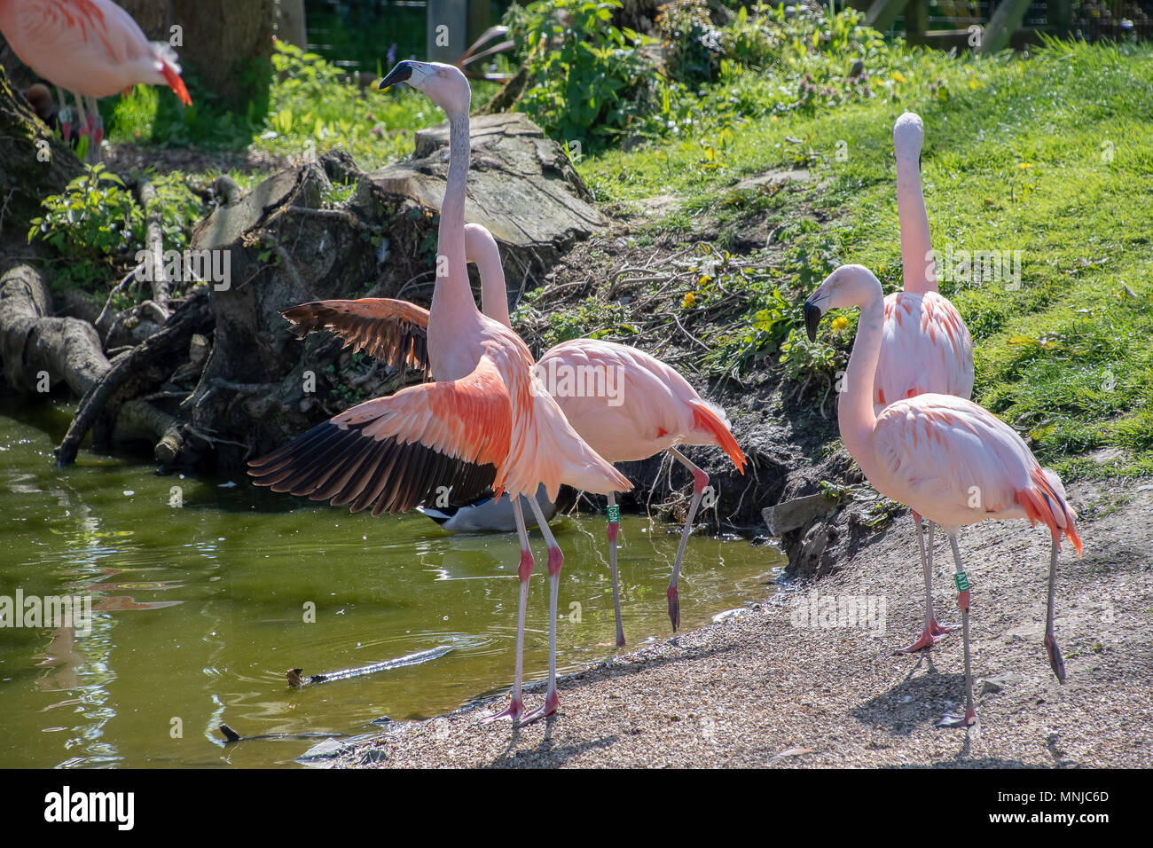 Being in the sun hi-res stock photography and images - Alamy