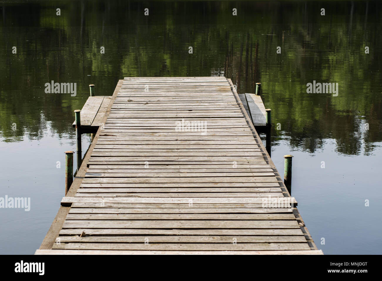 A winding wooden bridge in the forest. A forest path leading across a ...