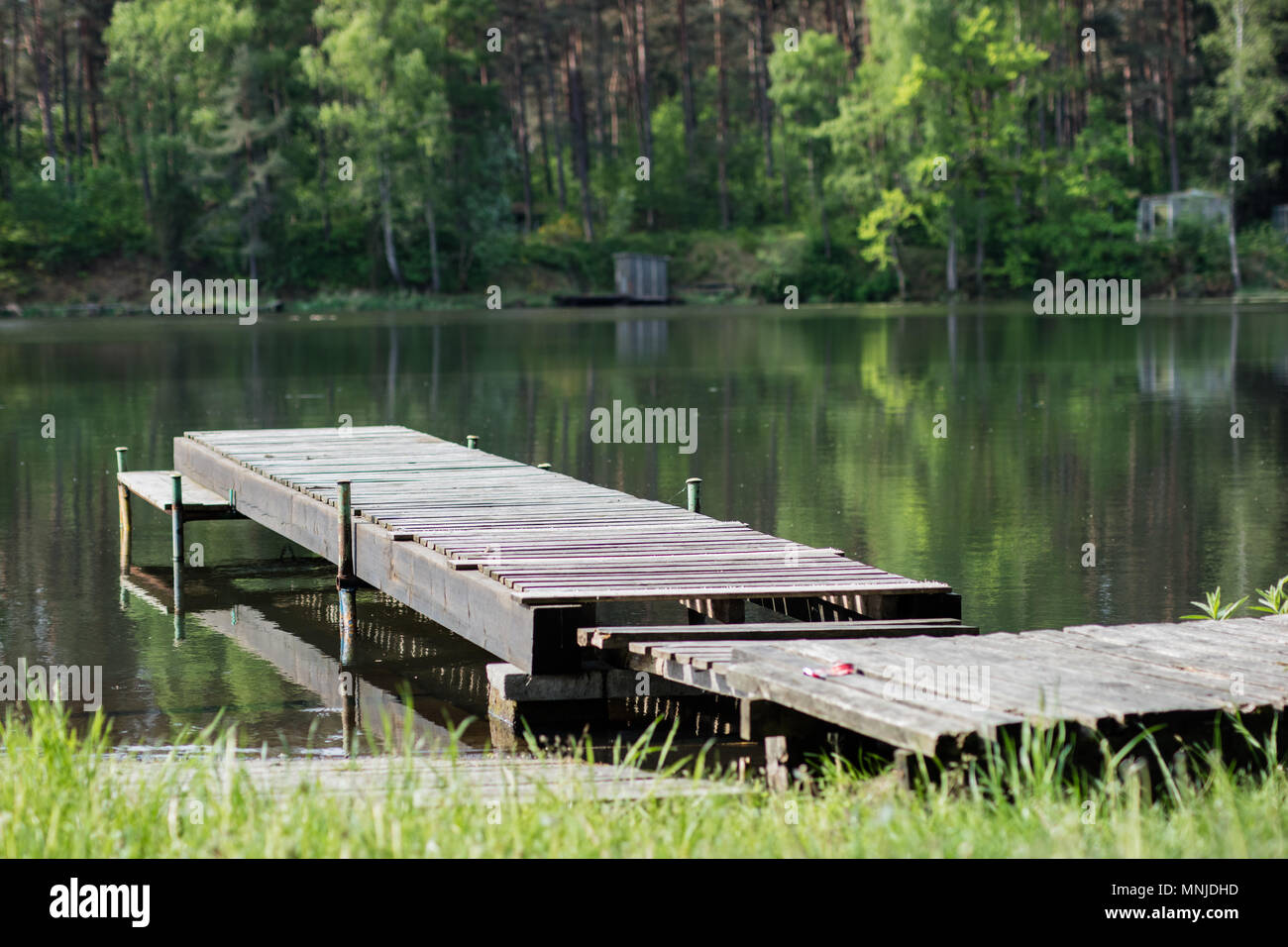 A winding wooden bridge in the forest. A forest path leading across a ...