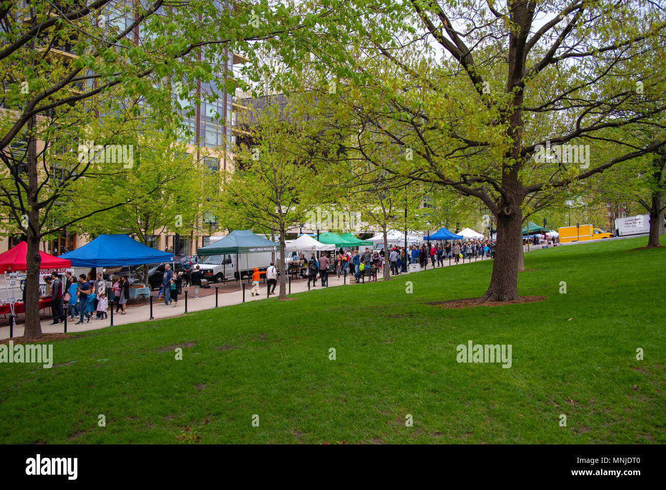 Photograph from the Madison, Wisconsin Saturday morning Farmers Market ...