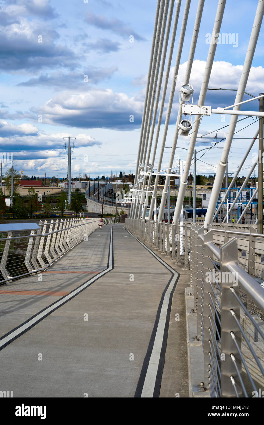 Lined pedestrian and bicycle path next to the streetcar and bus roadway ...