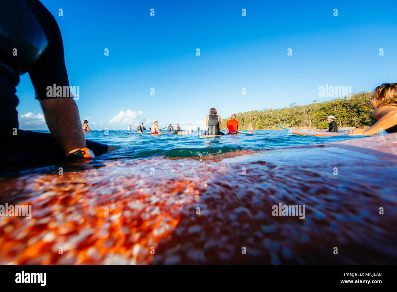 Surfers sit on their boards in the ocean and wait patiently for the ...