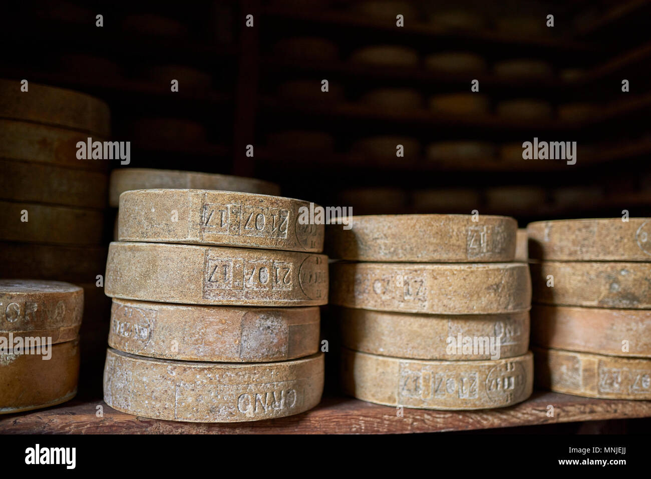 Close up of Bettelmatt cheese blocks made in higher Ossola Valley ...