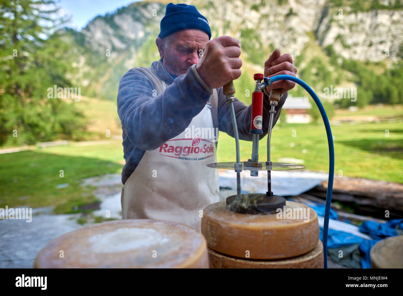 Cheese stamp hi-res stock photography and images - Alamy