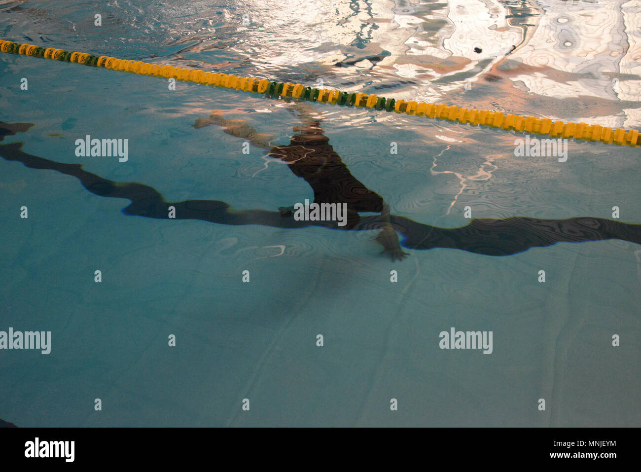 U.S. Army Sgt. Jacobus Wood, assigned to U.S. Army Garrison Benelux ...