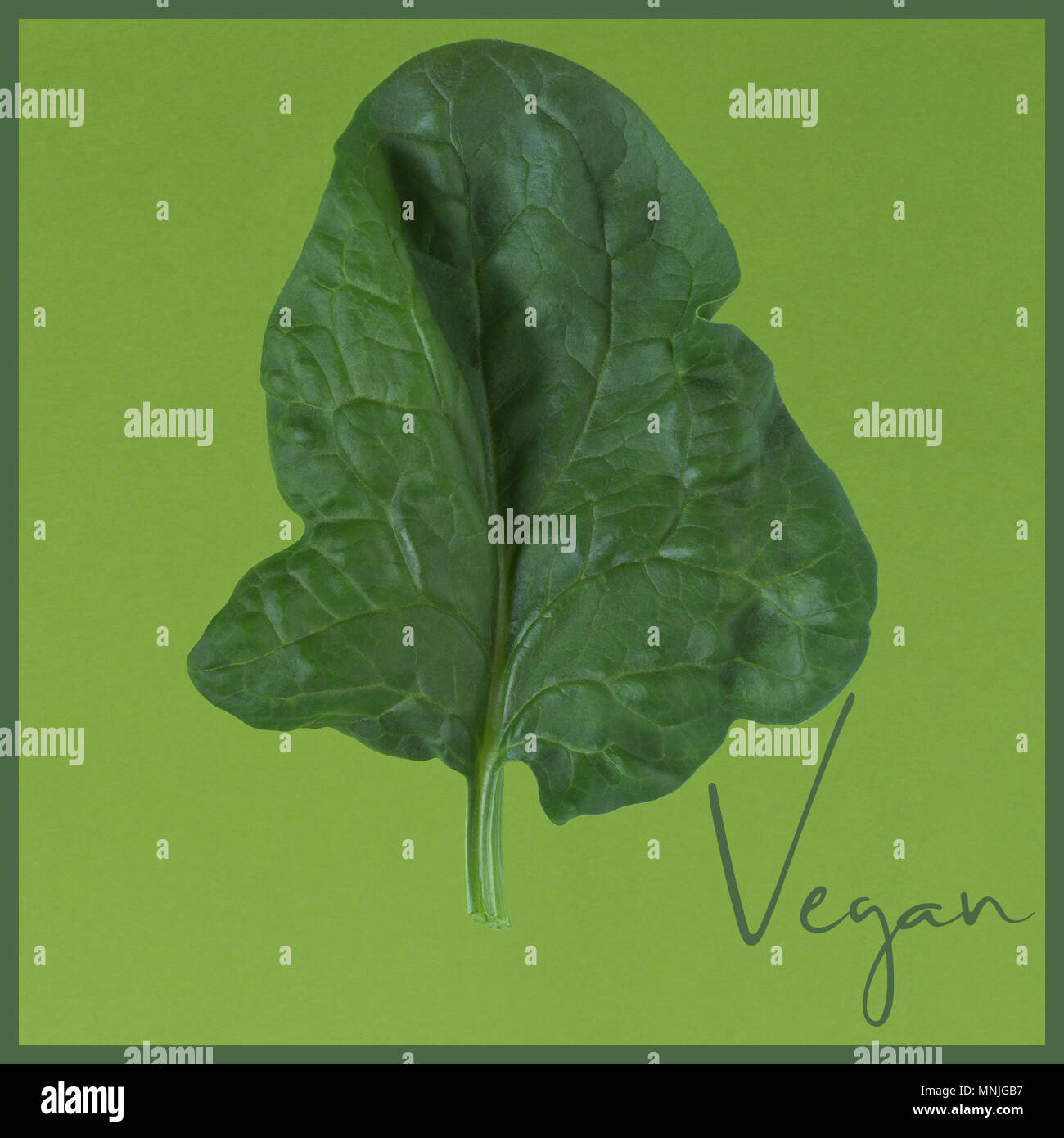 Analogous colors hi-res stock photography and images - Alamy