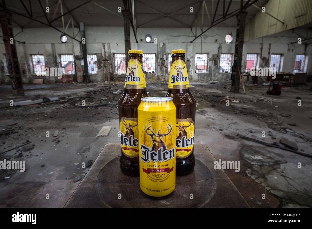 BELGRADE, SERBIA - NOVEMBER 17, 2017: Can and bottle of Jelen Pivo Beer ...