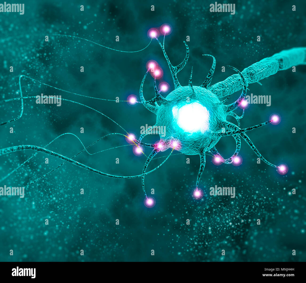 Synapse is a structure that permits a neuron (or nerve cell) to pass an ...