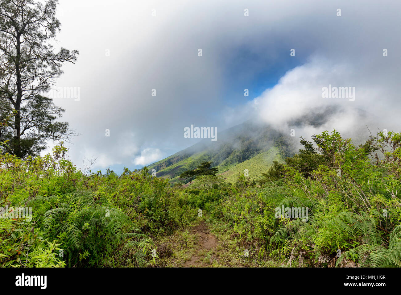 Keli hi-res stock photography and images - Alamy