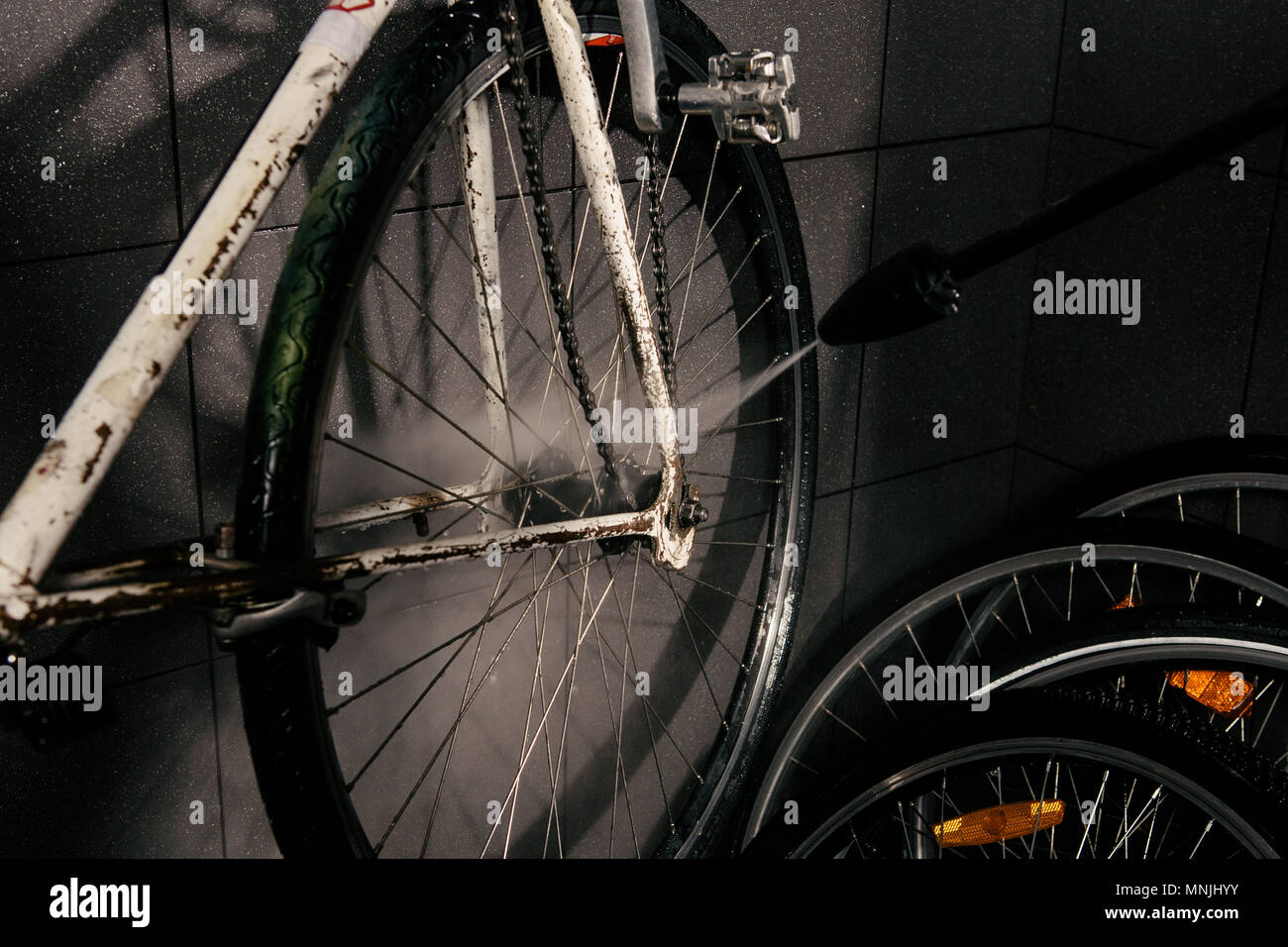 Services professional washing of bicycle in the workshop. Close-up of ...