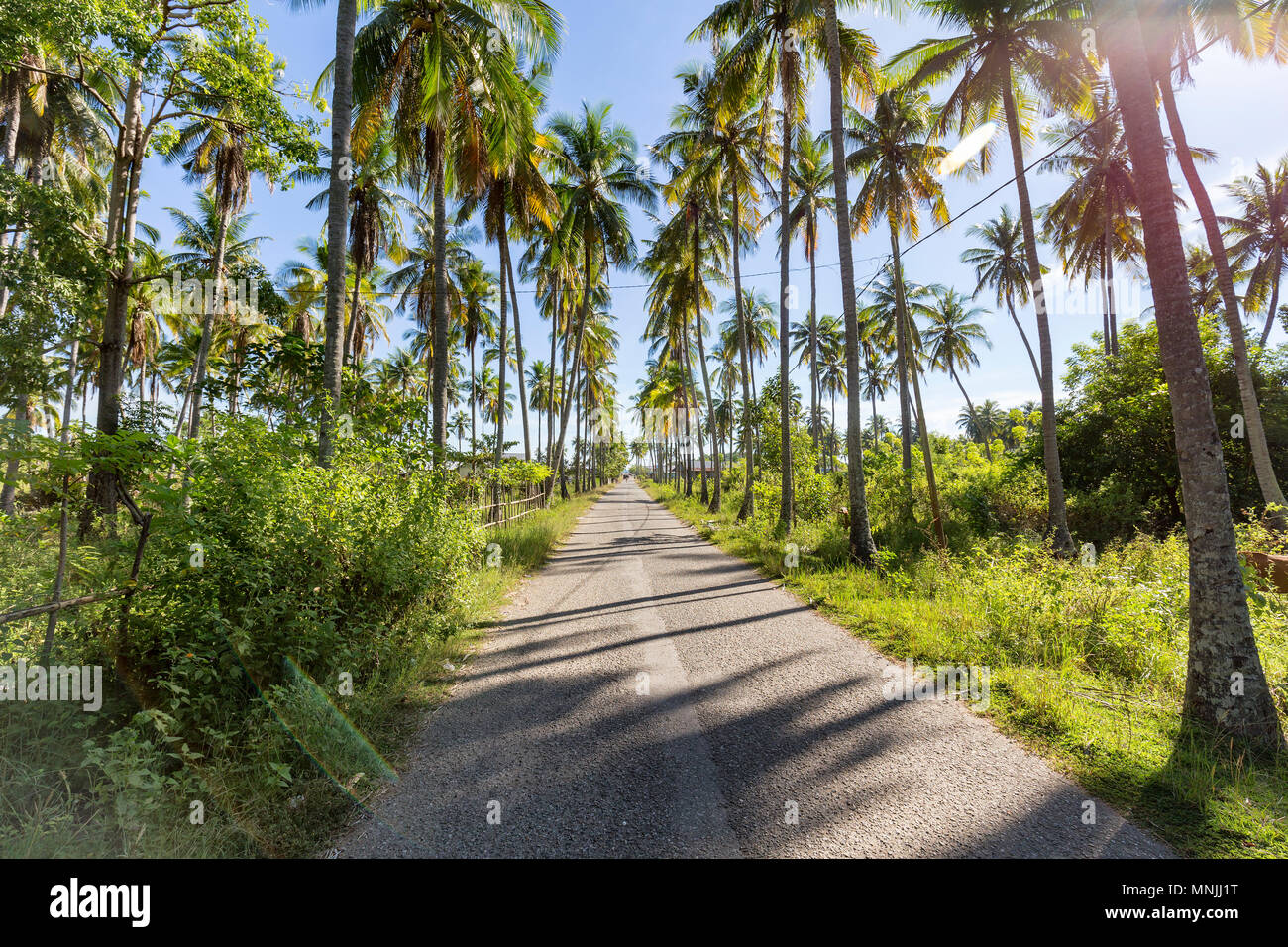 Riung hi-res stock photography and images - Alamy