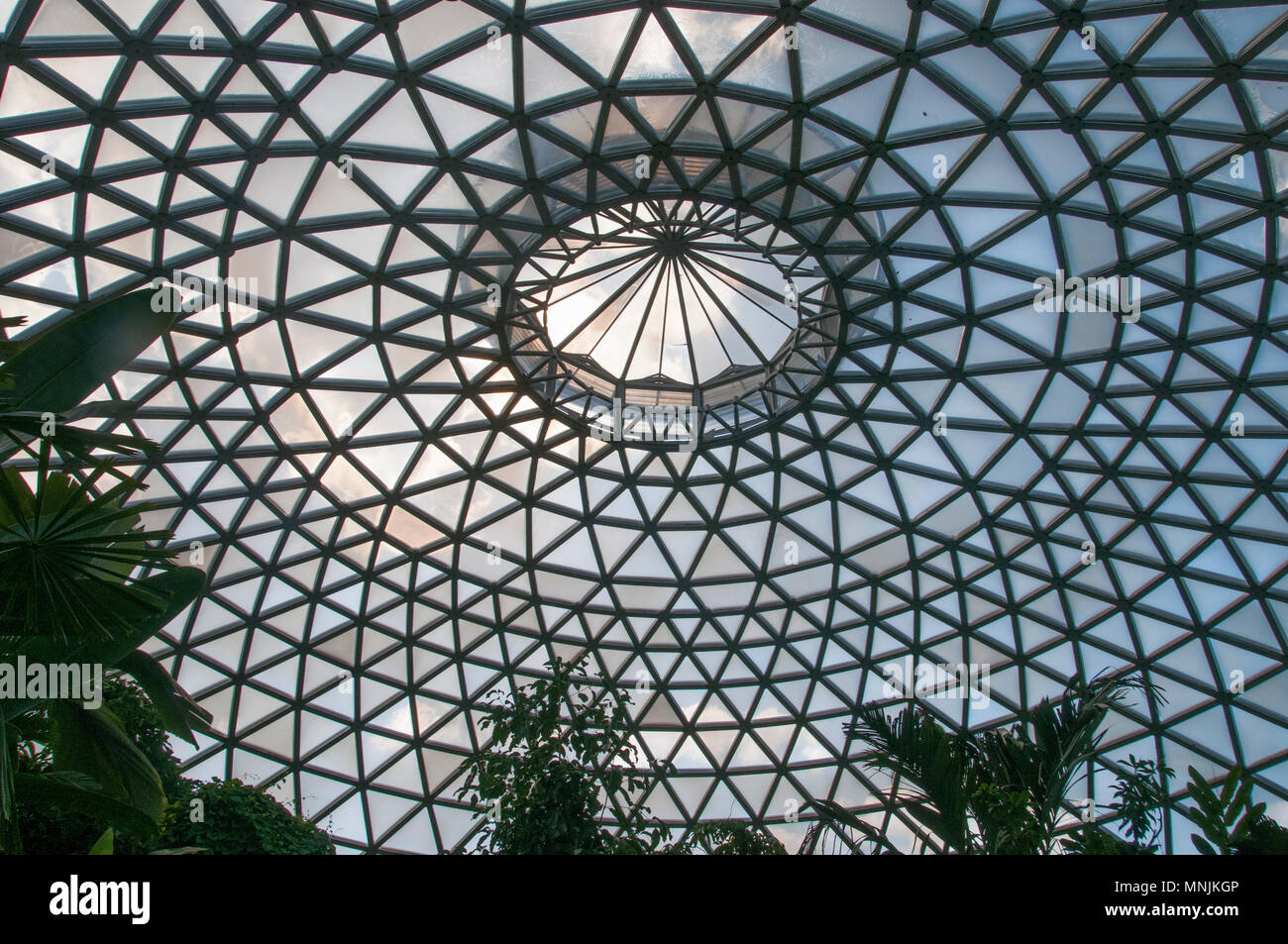 Tropical display dome at the Mt Coot-tha Botanic Gardens, Brisbane ...