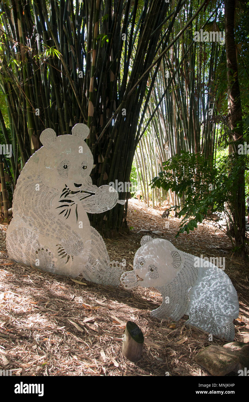 Panda sculptures decorate a bamboo grove in the Mt Coot-tha Botanic ...