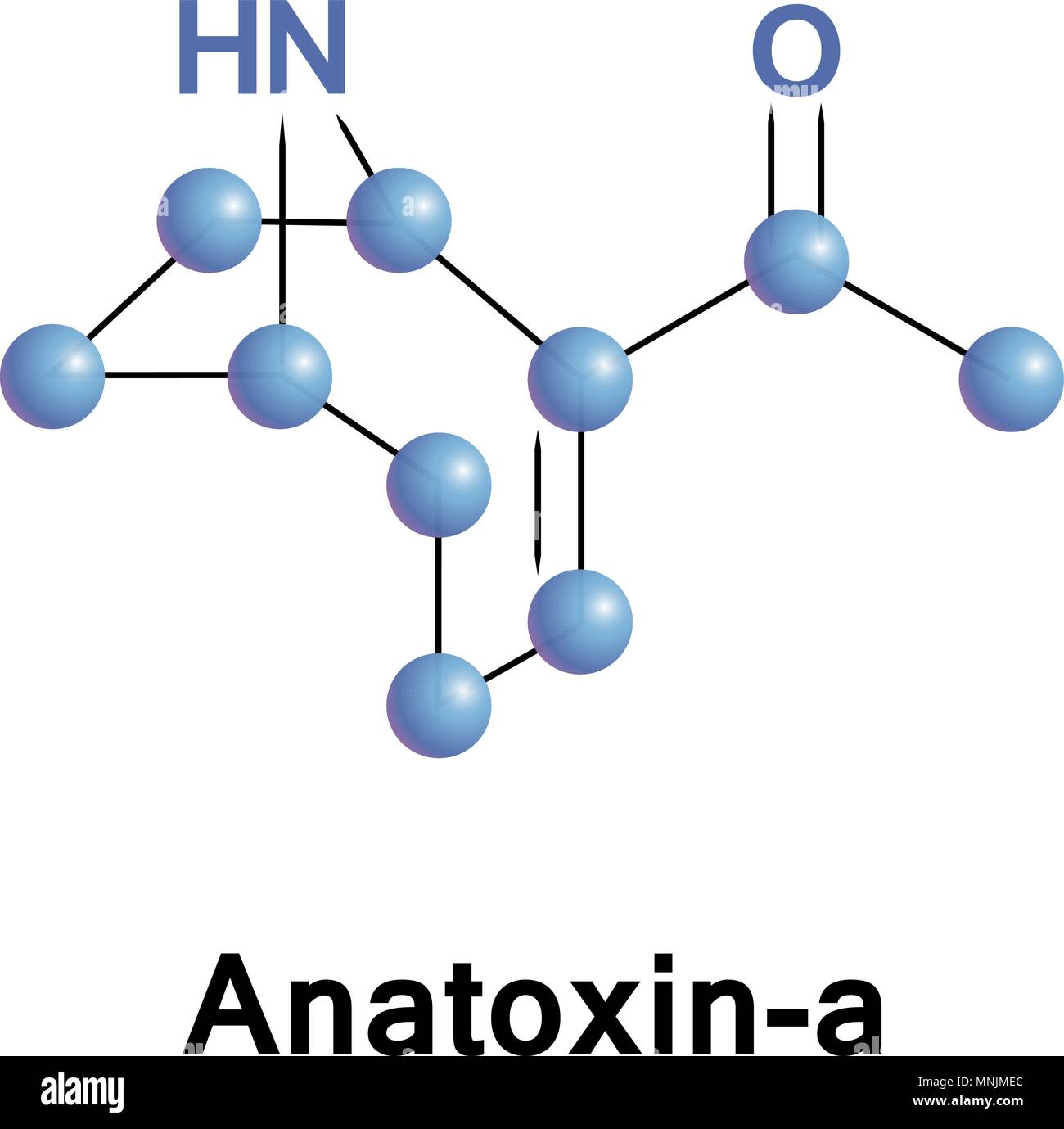Anabaena cyanobacteria hi-res stock photography and images - Alamy