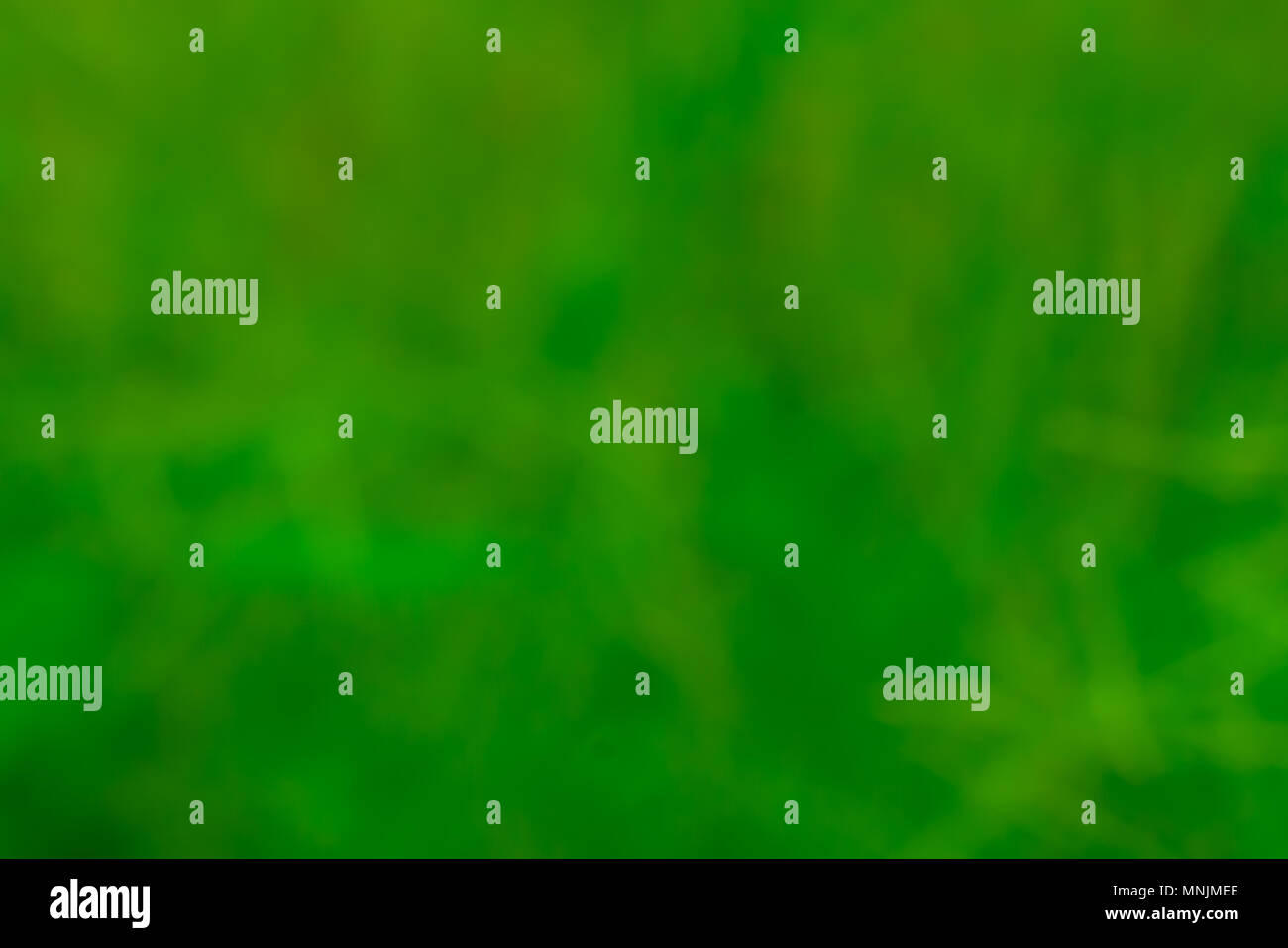 natural background and texture with blur focus Stock Photo - Alamy