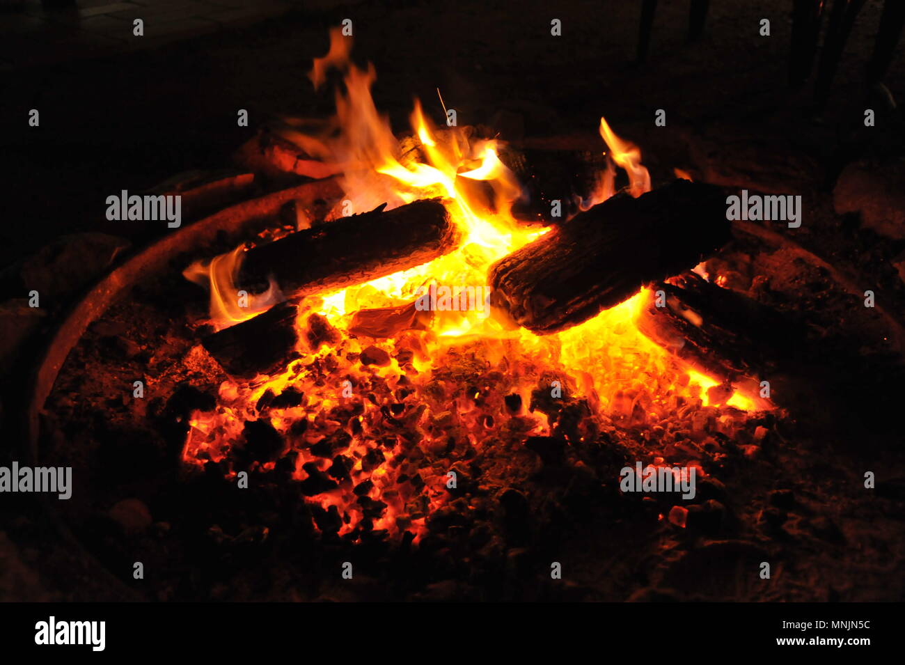 Bush fire vine australia hi-res stock photography and images - Alamy