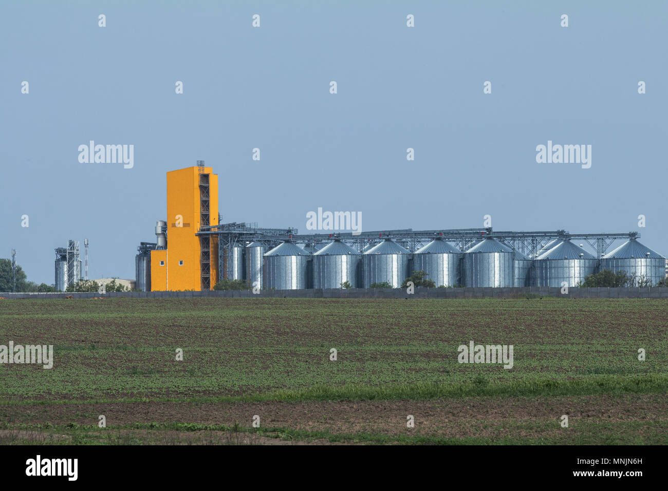 Row of granaries for storing wheat and other cereal grains. Set of ...