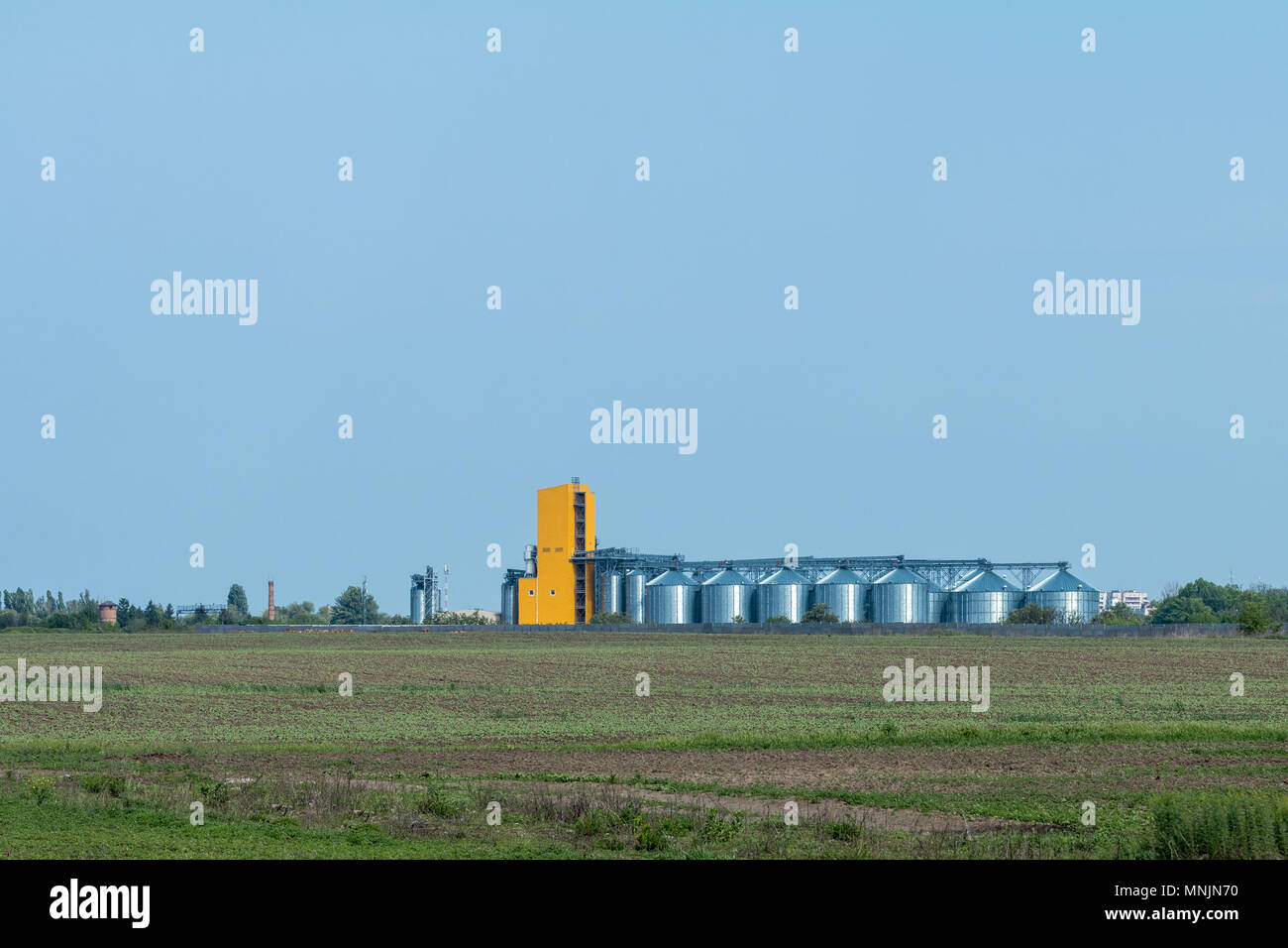 Row of granaries for storing wheat and other cereal grains. Set of ...