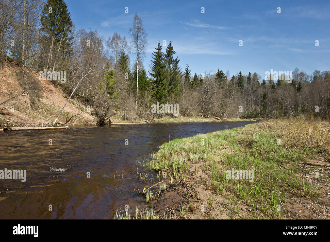 River Ogre, Latvia Stock Photo - Alamy