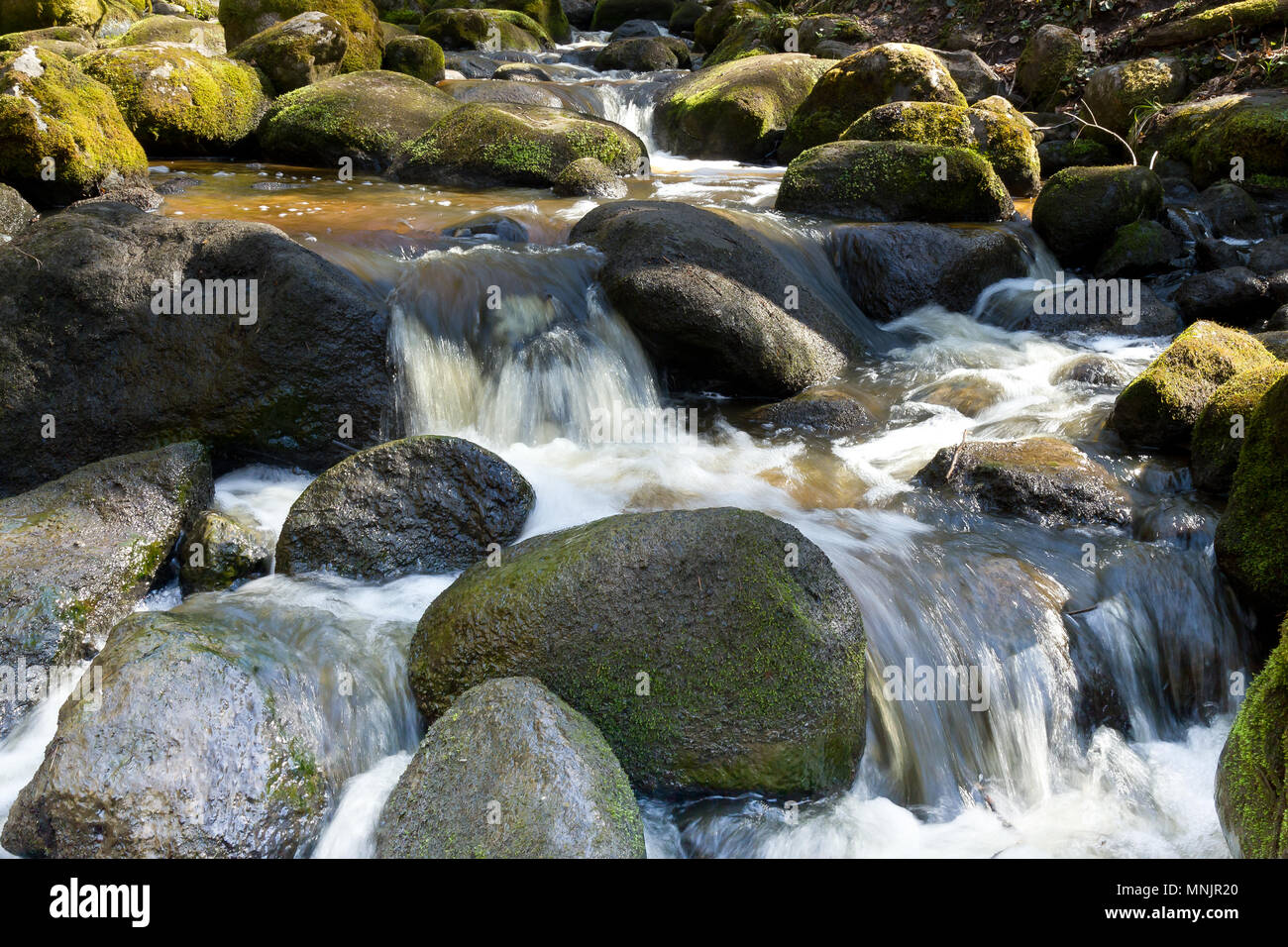Beautiful brook hi-res stock photography and images - Alamy