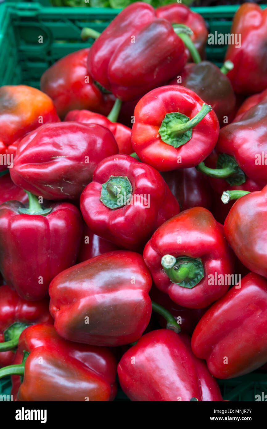 Red Pepper Background on Market Stall Stock Photo - Alamy