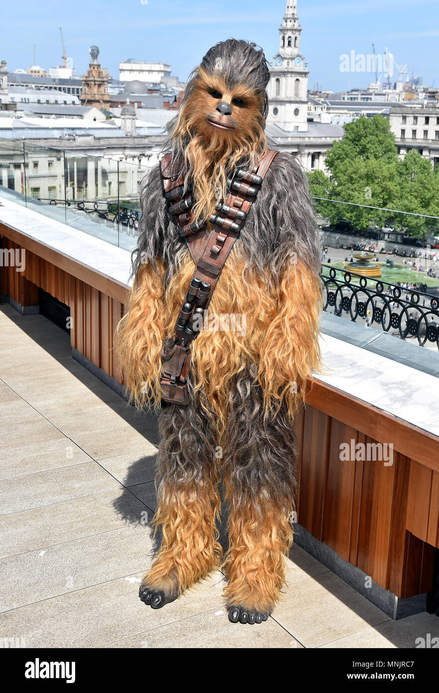 Chewbacca attending the photocall for Solo: A Star Wars Story at The ...