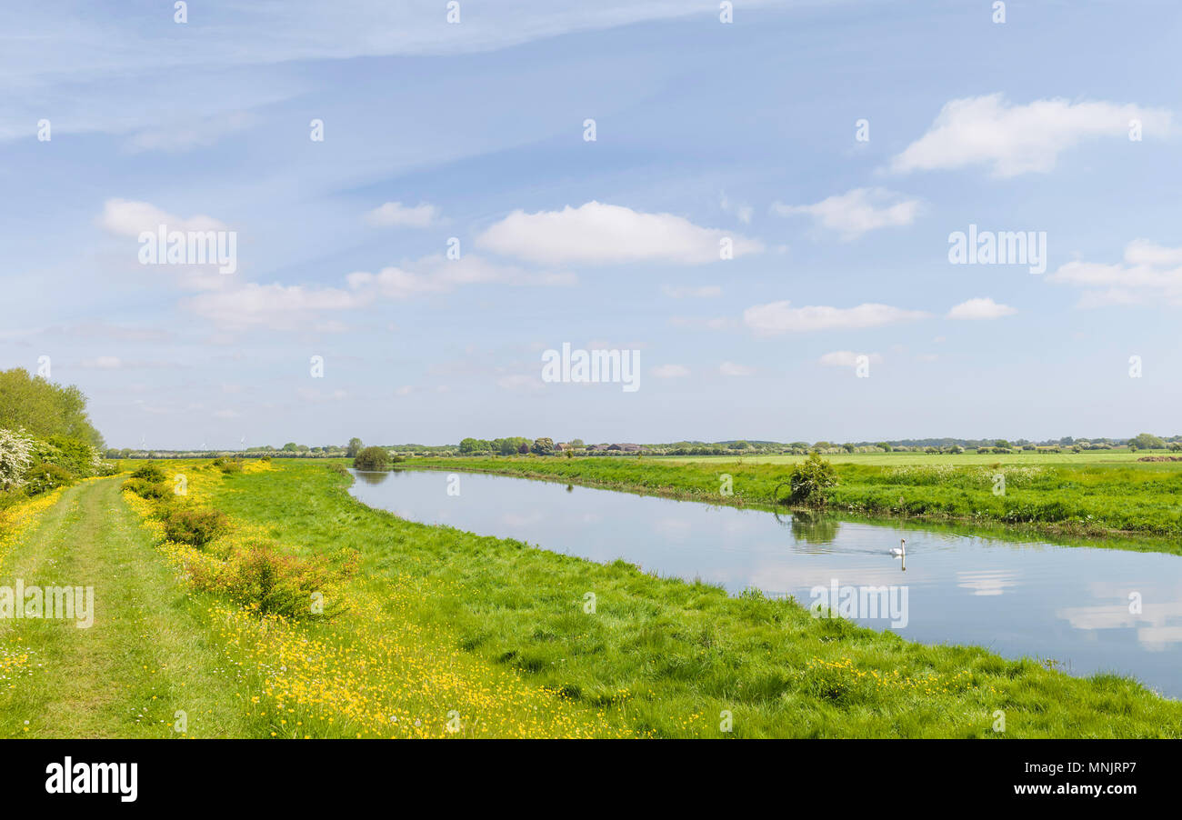Spring bank hull hi-res stock photography and images - Alamy