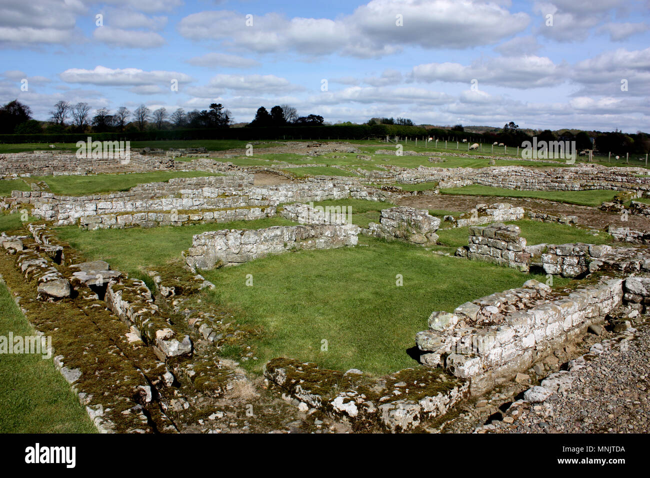 Roman ruins at corbridge hi-res stock photography and images - Alamy