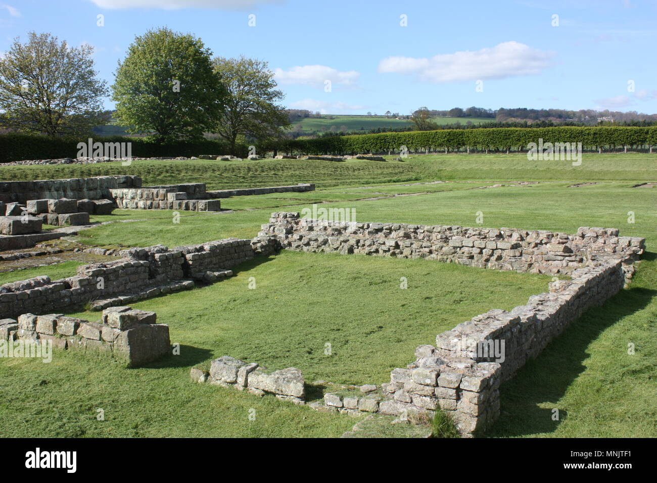 The Roman ruins at Corbridge, Northumberland, North-East England Stock ...