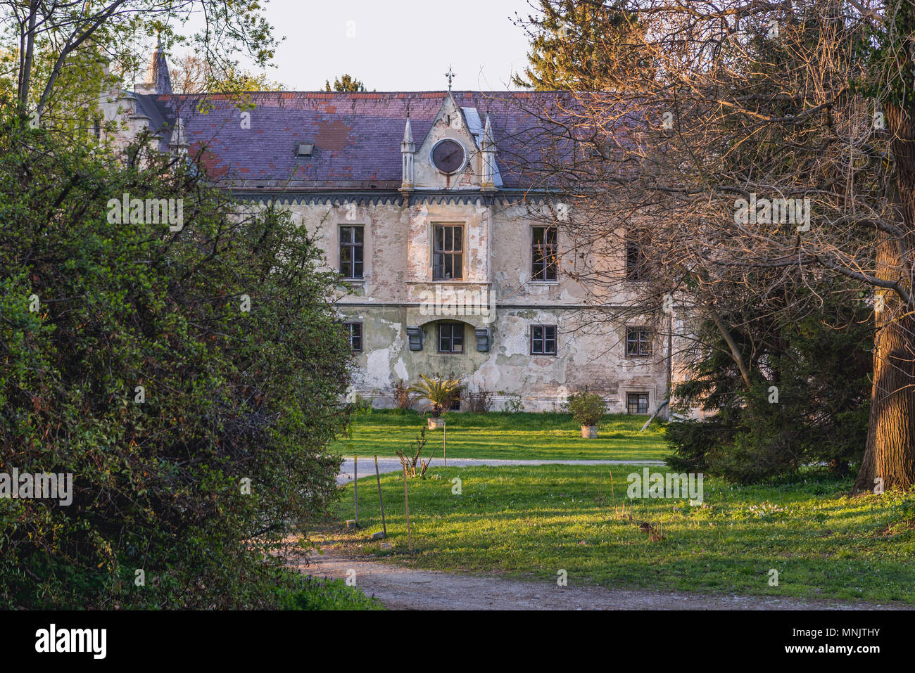 Ruins of Schloss Walterskirchen castle in Wolfsthal town, Austria Stock ...