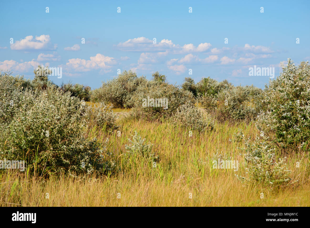 Panorama wild, sea beach in the National reserve island Stock Photo - Alamy