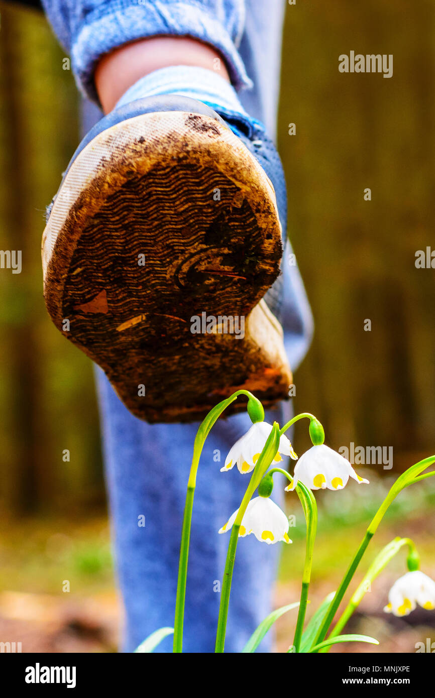 Foot tread flower hi-res stock photography and images - Alamy
