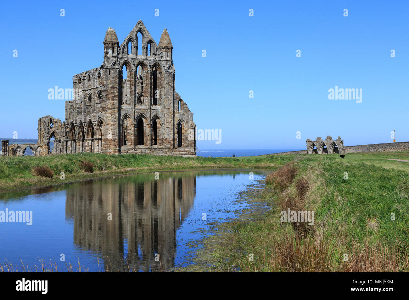England, North Yorkshire, Whitby. North Sea, East cliff. English ...