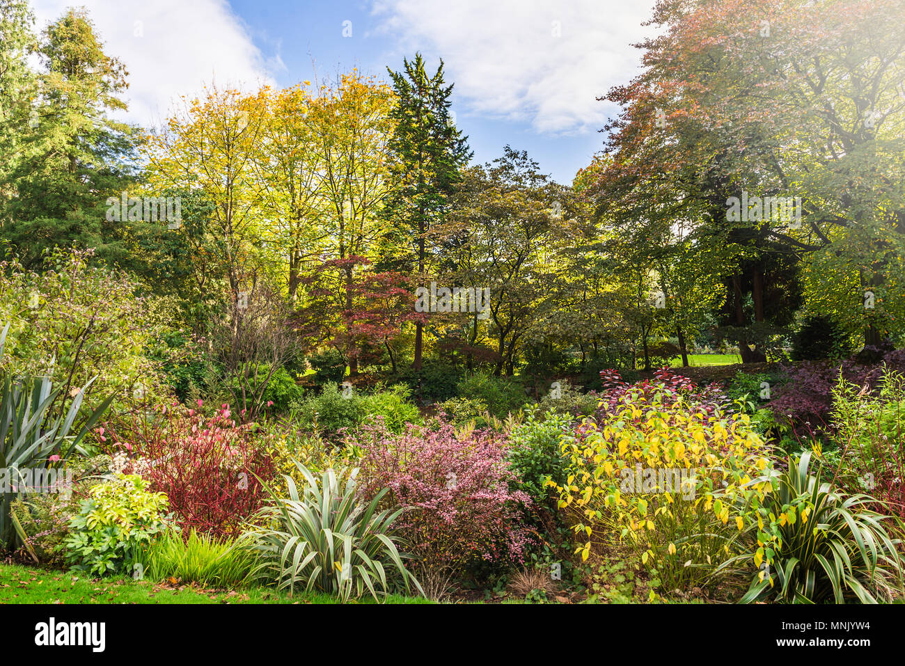 Autumn landscape. Colourful autumn trees with beautiful leaves. English ...