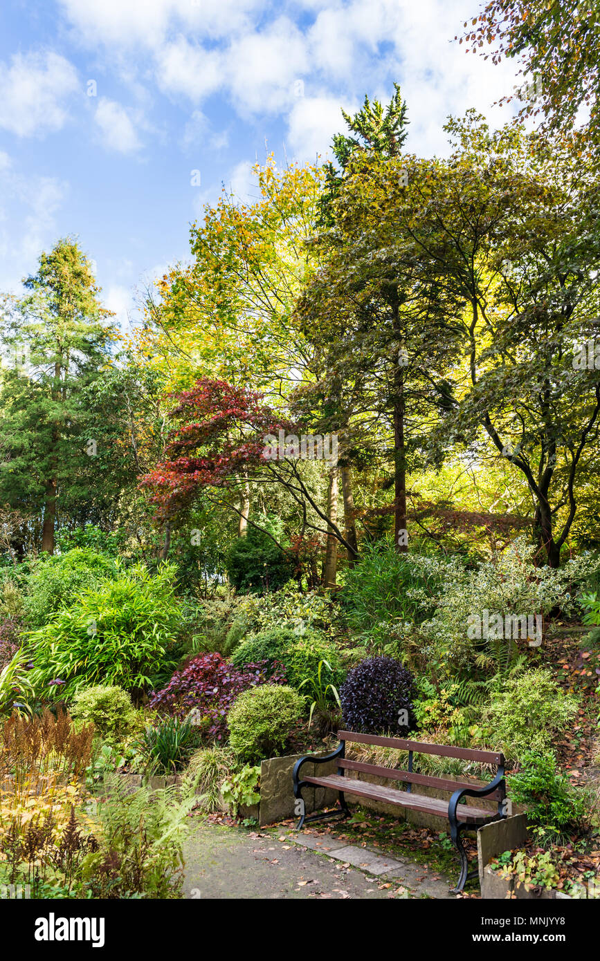 Autumn landscape. Colourful autumn trees with beautiful leaves. English ...