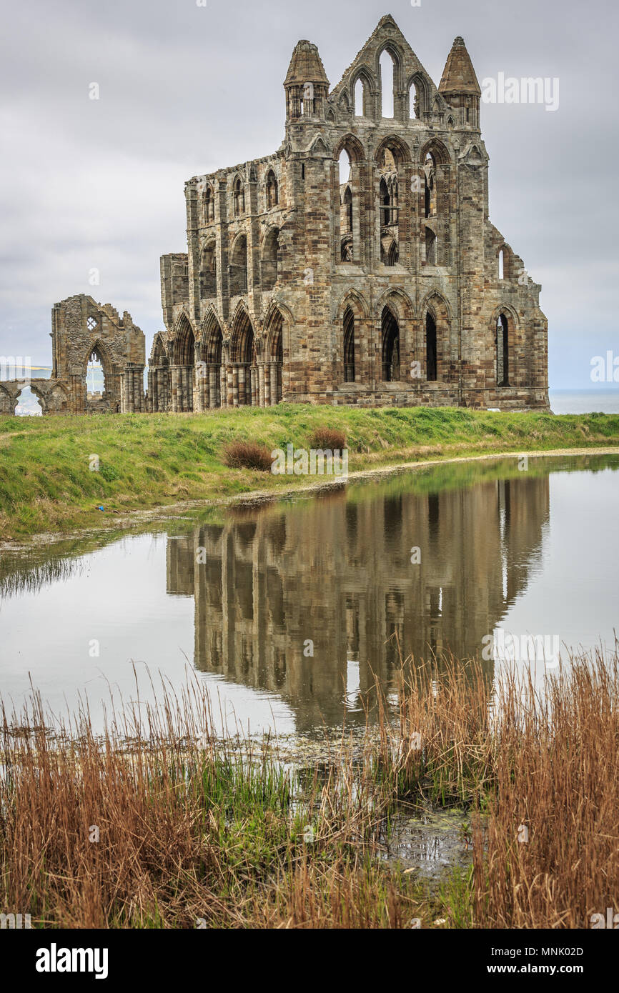 England, North Yorkshire, Whitby. North Sea, East cliff. English ...