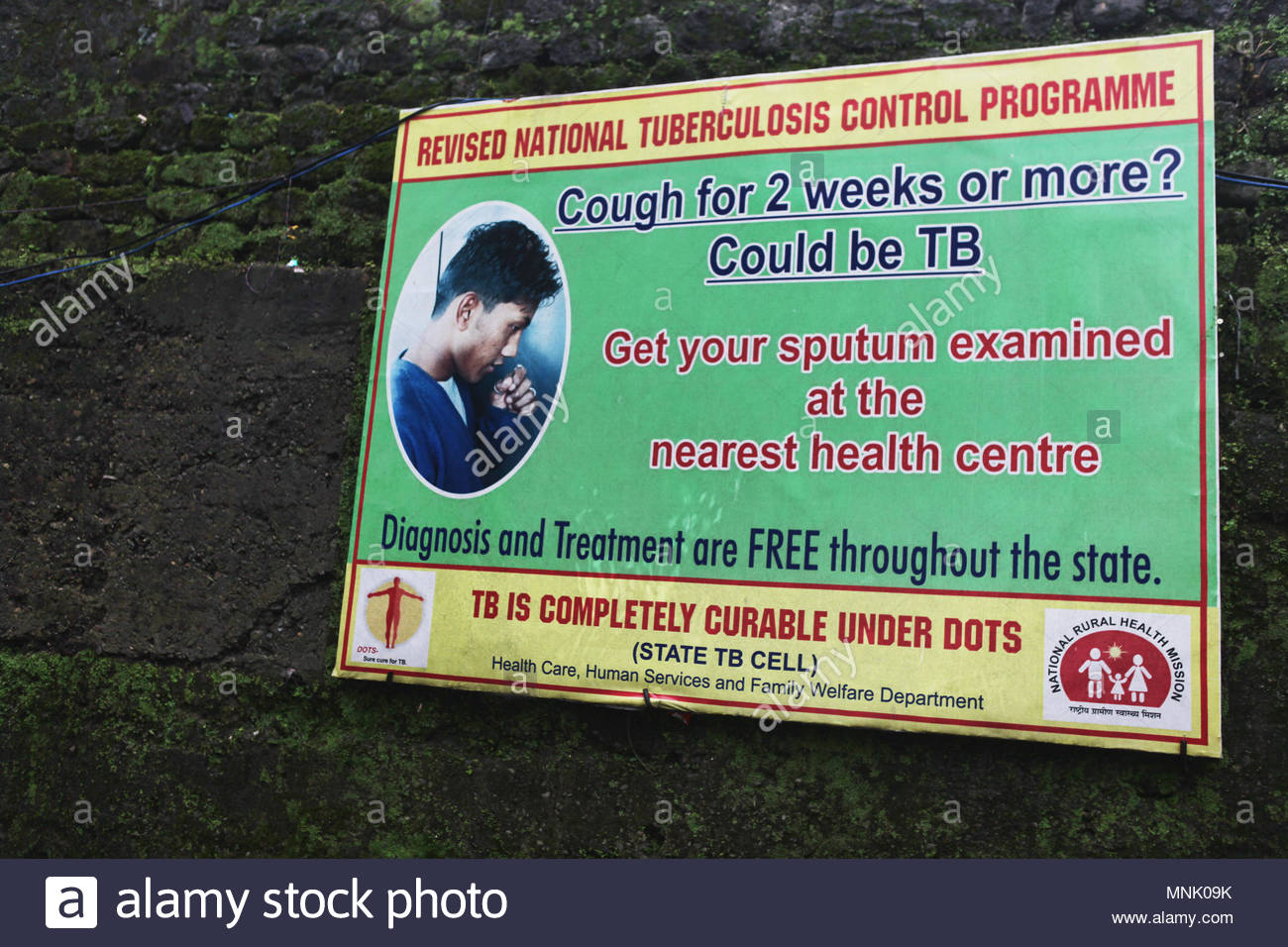 Tb Skin Test High Resolution Stock Photography and Images - Alamy