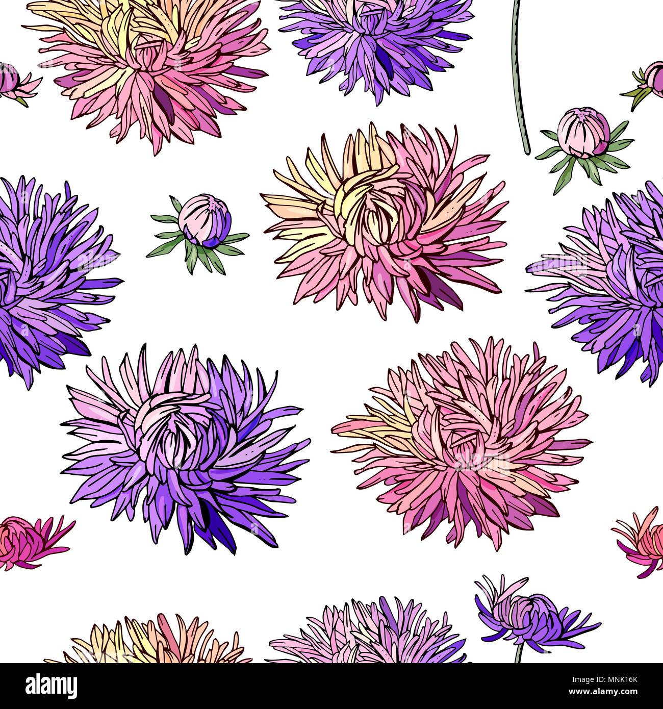 Blue aster flower Stock Vector Images - Alamy