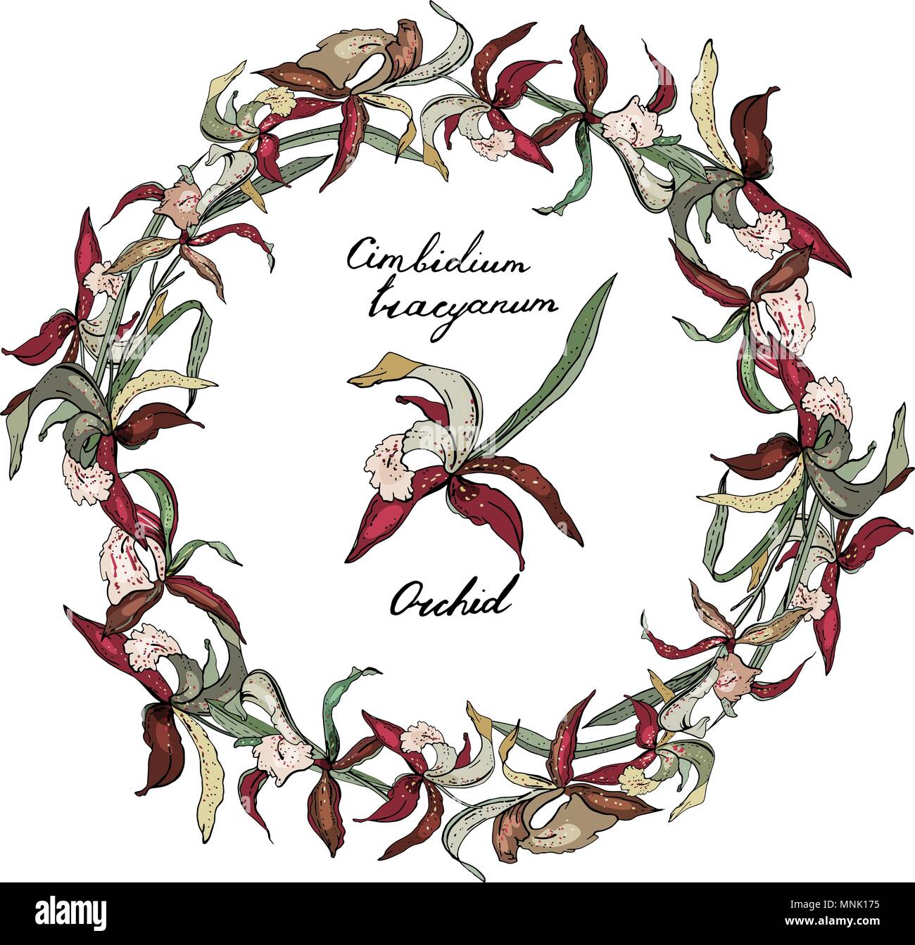 Round romantic floral frame made of orchids Stock Vector Image & Art ...