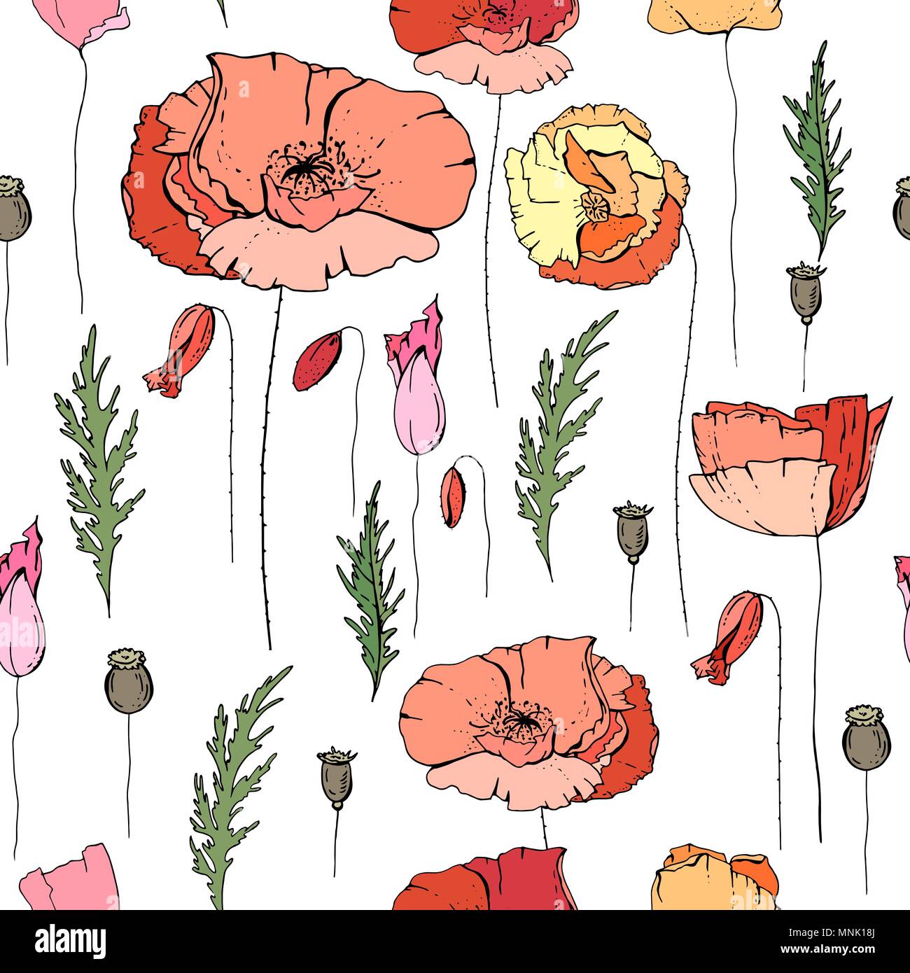 Orange poppy Stock Vector Images - Alamy