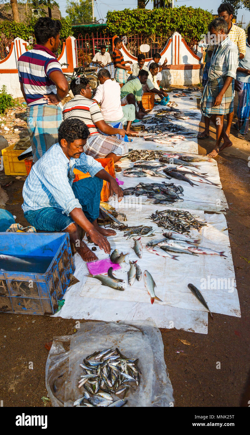 Roadside market for freshly caught local river fish near Thanjavur ...